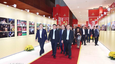 Preliminary review of organizational work for the 14th National Congress