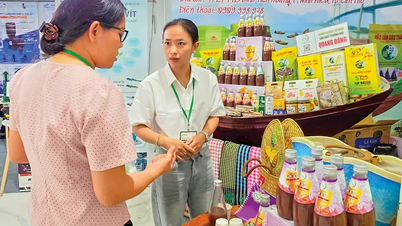 Supporting the promotion and consumption of OCOP products.