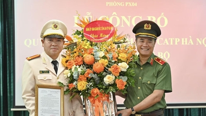 Jurnalis Do Tran Quan telah ditunjuk sebagai Wakil Ketua Dewan Redaksi ...