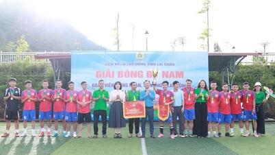 Lai Chau clôture le tournoi de football masculin pour les membres et ...